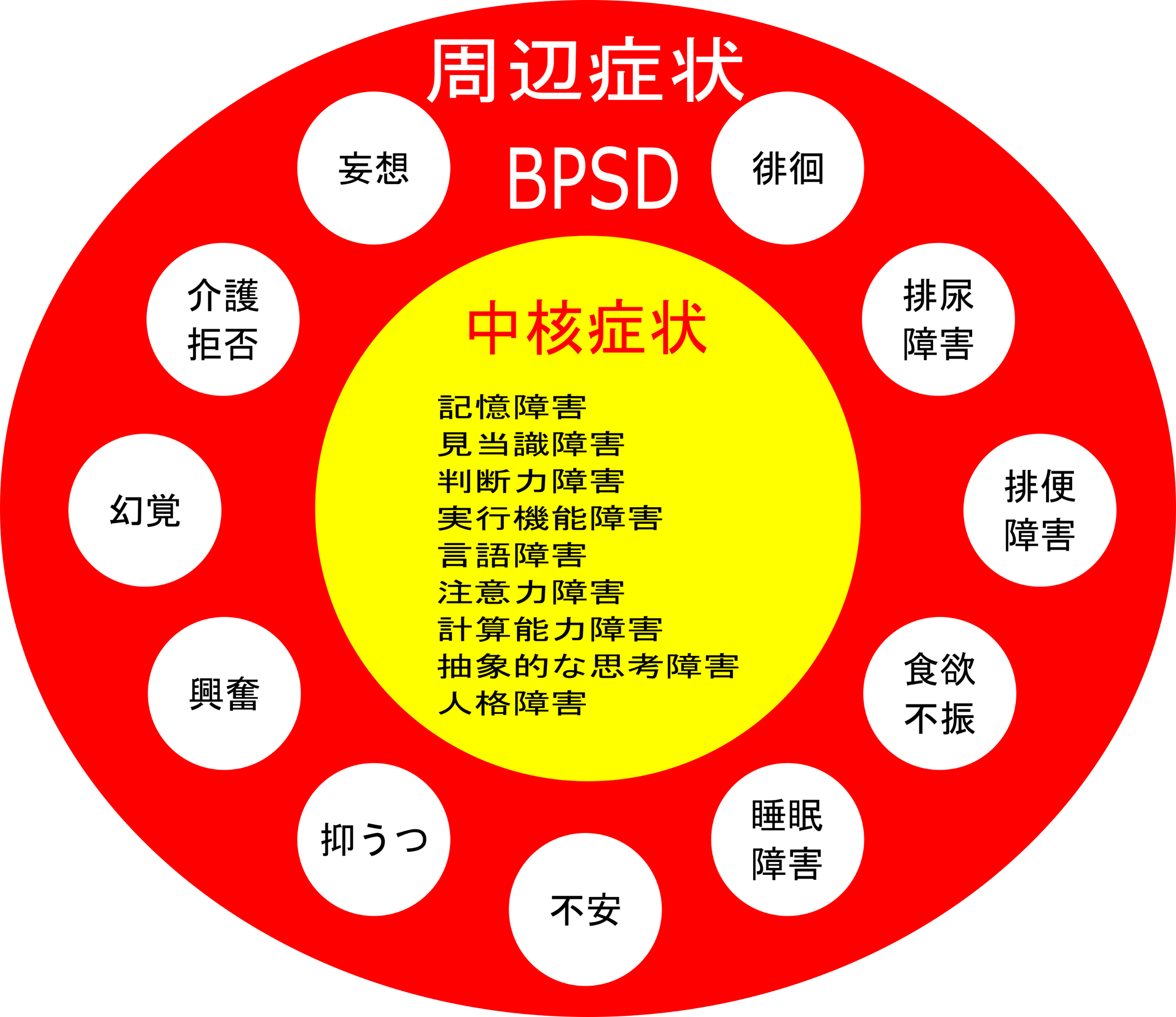 BPSDの評価、分析、薬物療法など